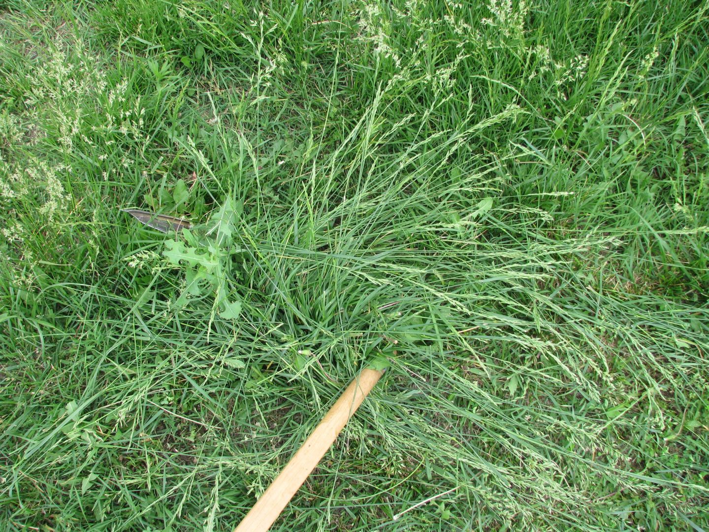 To Build A Haystack – The School of the Transfer of Energy