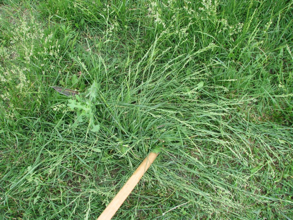 To Build A Haystack – The School of the Transfer of Energy