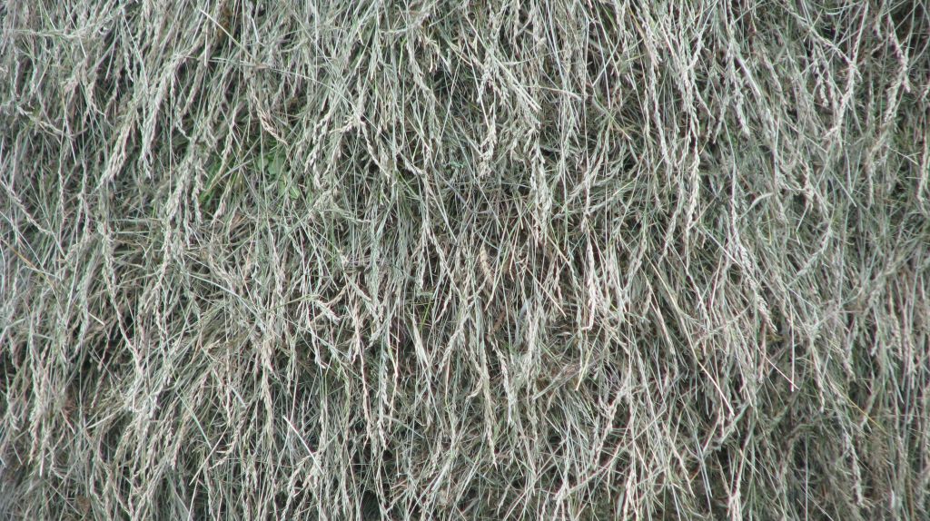 To Build A Haystack – The School of the Transfer of Energy