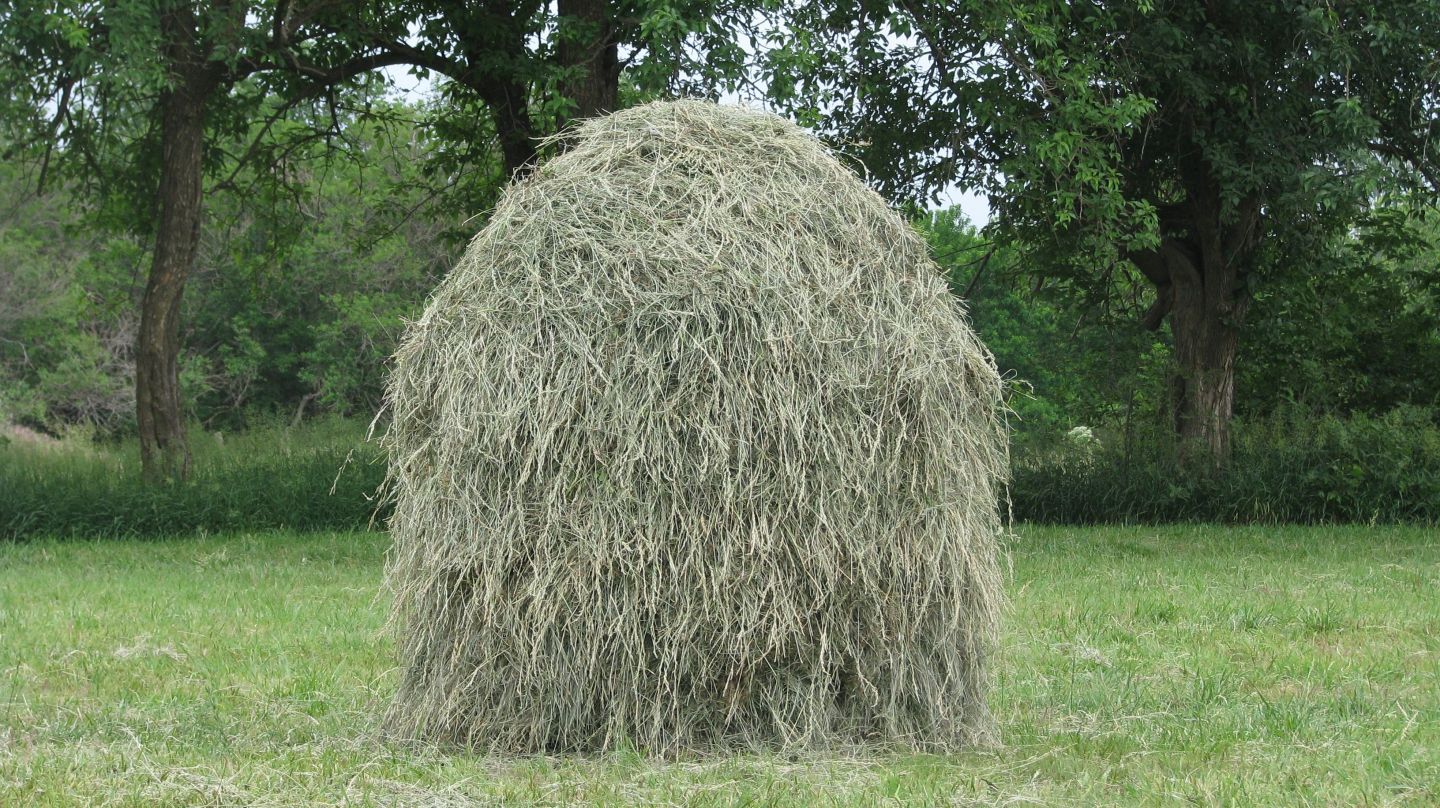 To Build A Haystack – The School of the Transfer of Energy