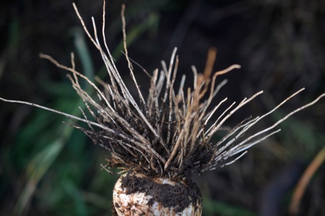 The School of the Transfer of Energy – Page 8 – workshop studio land