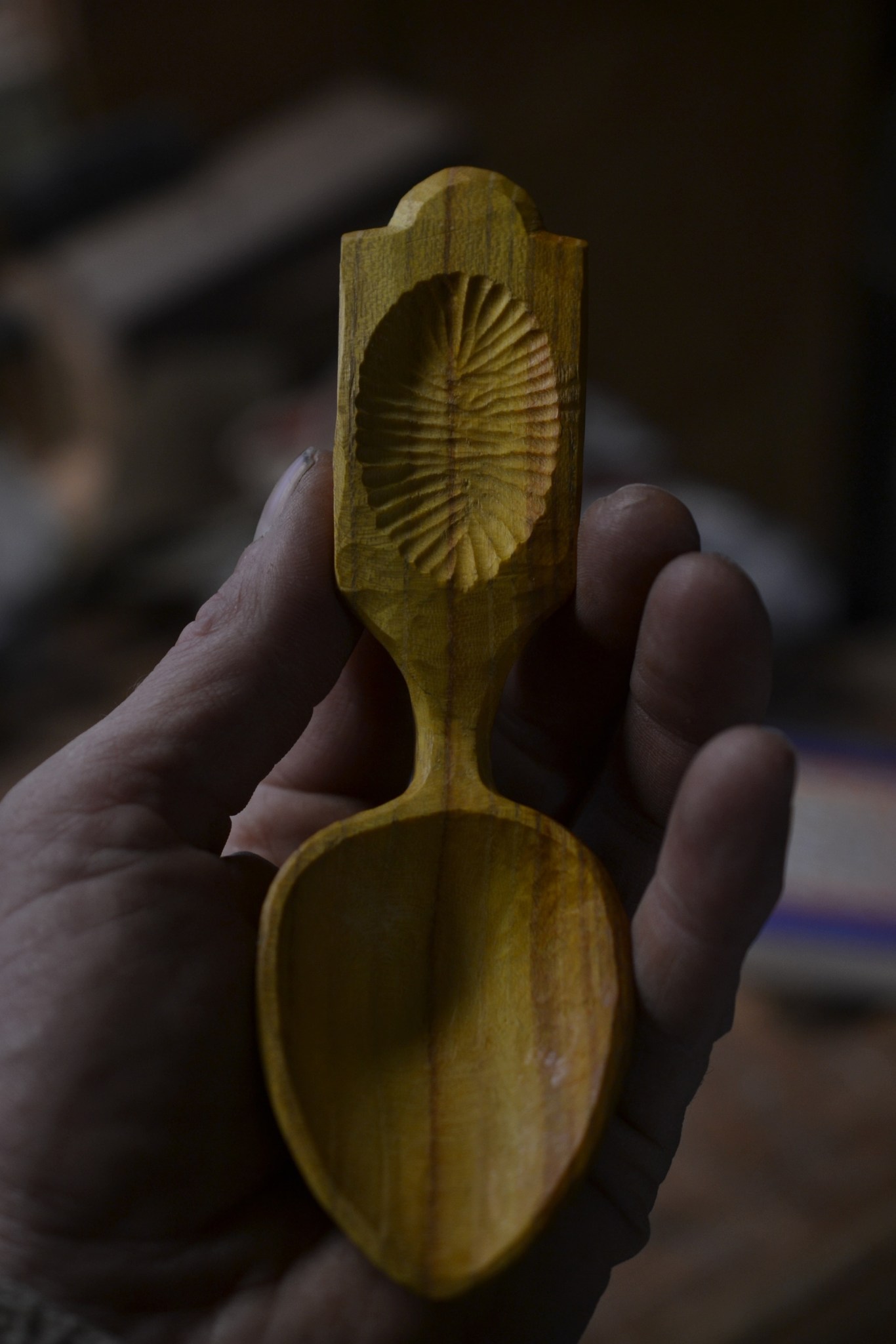 spoons – The School of the Transfer of Energy